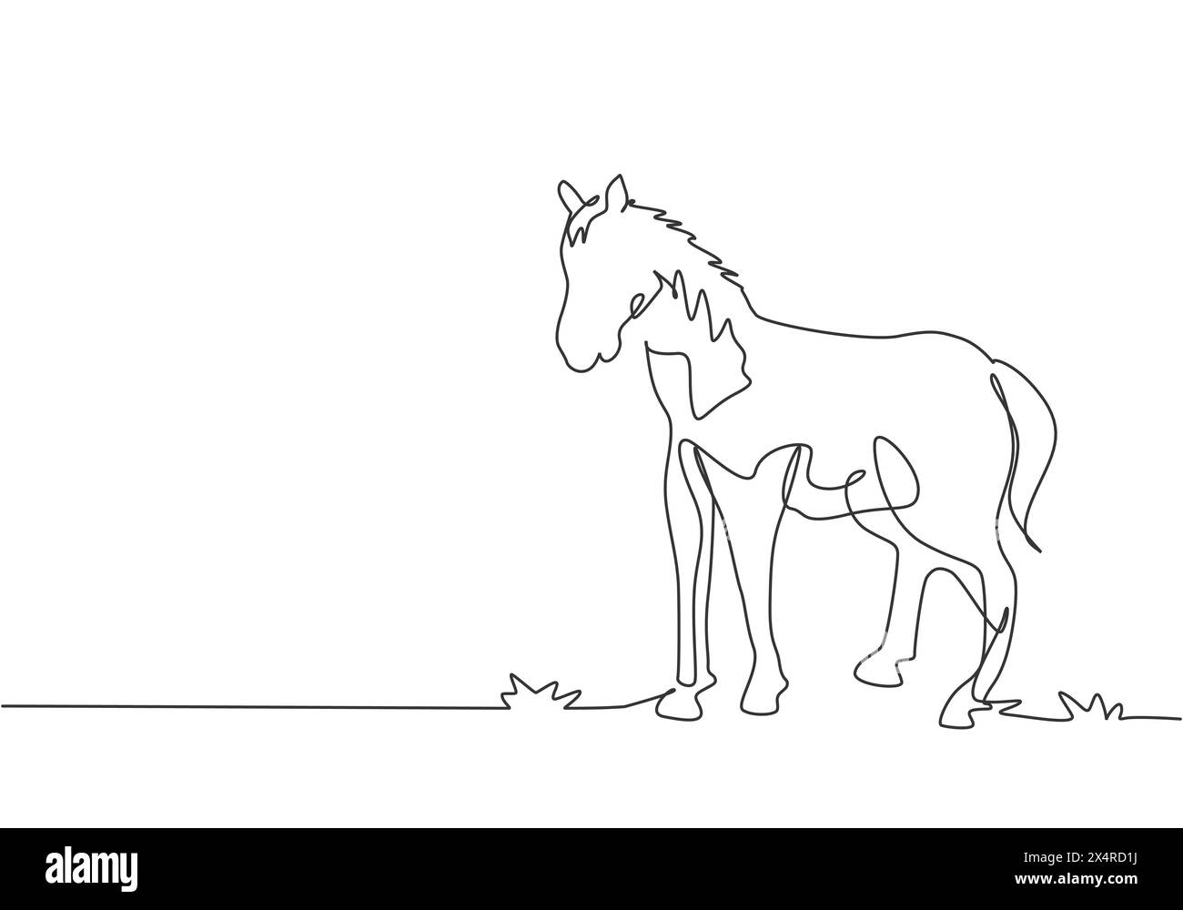 Continuous one line drawing a horse standing firmly on the pasture ...