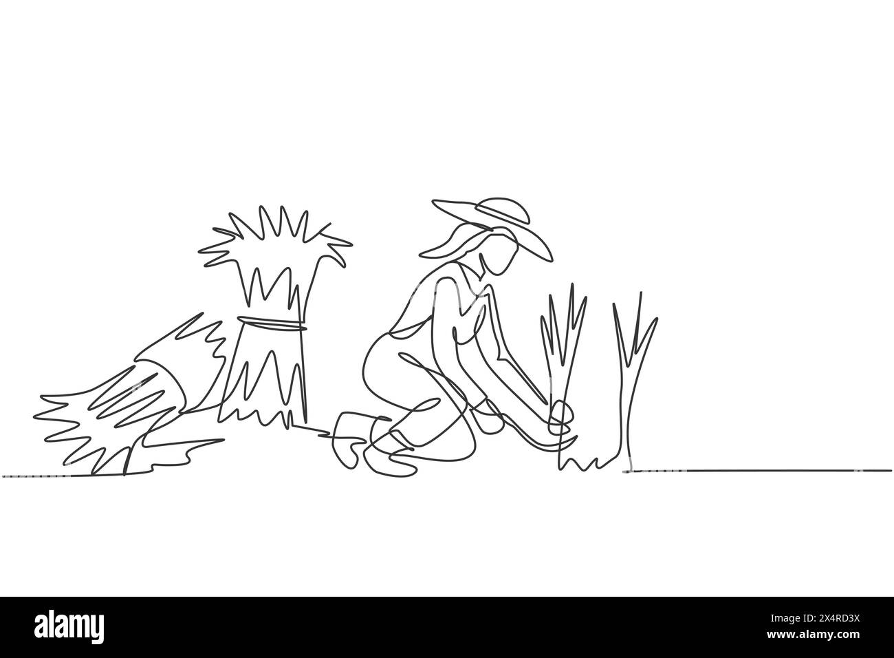Single continuous line drawing young female farmer was harvesting rice ...