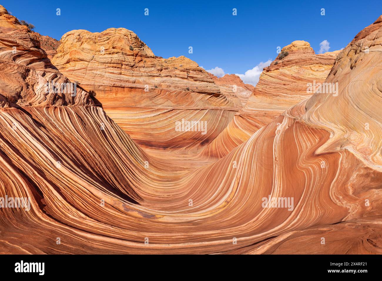 The Wave Rock Formation Coyote Buttes North At Paria Canyon Vermilion The Wave Rock Formation Coyote Buttes North At Paria Canyon Vermilion