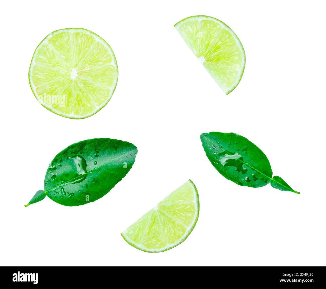 Top view set of green lemon slices or quarter with leaves and drops scattered is isolated on ...