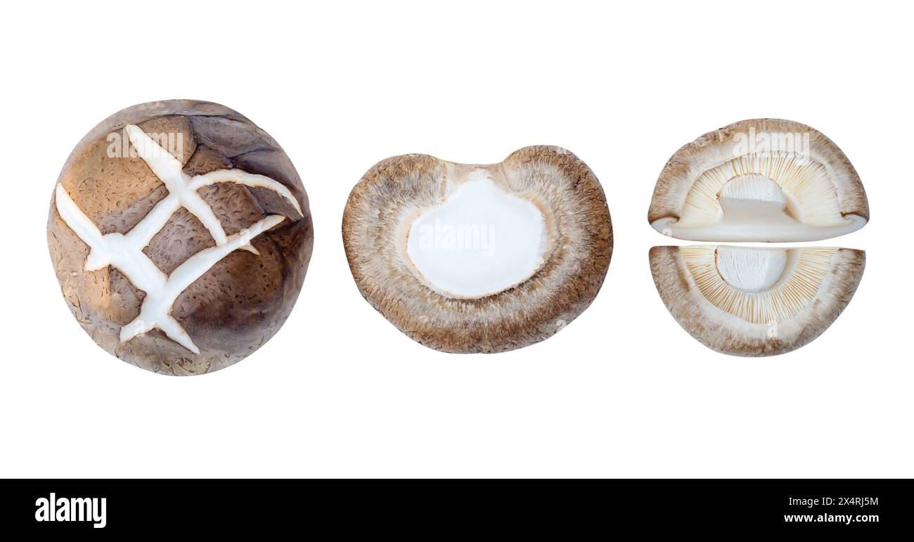 Top view set of fresh shiitake mushroom with halves or slices is ...