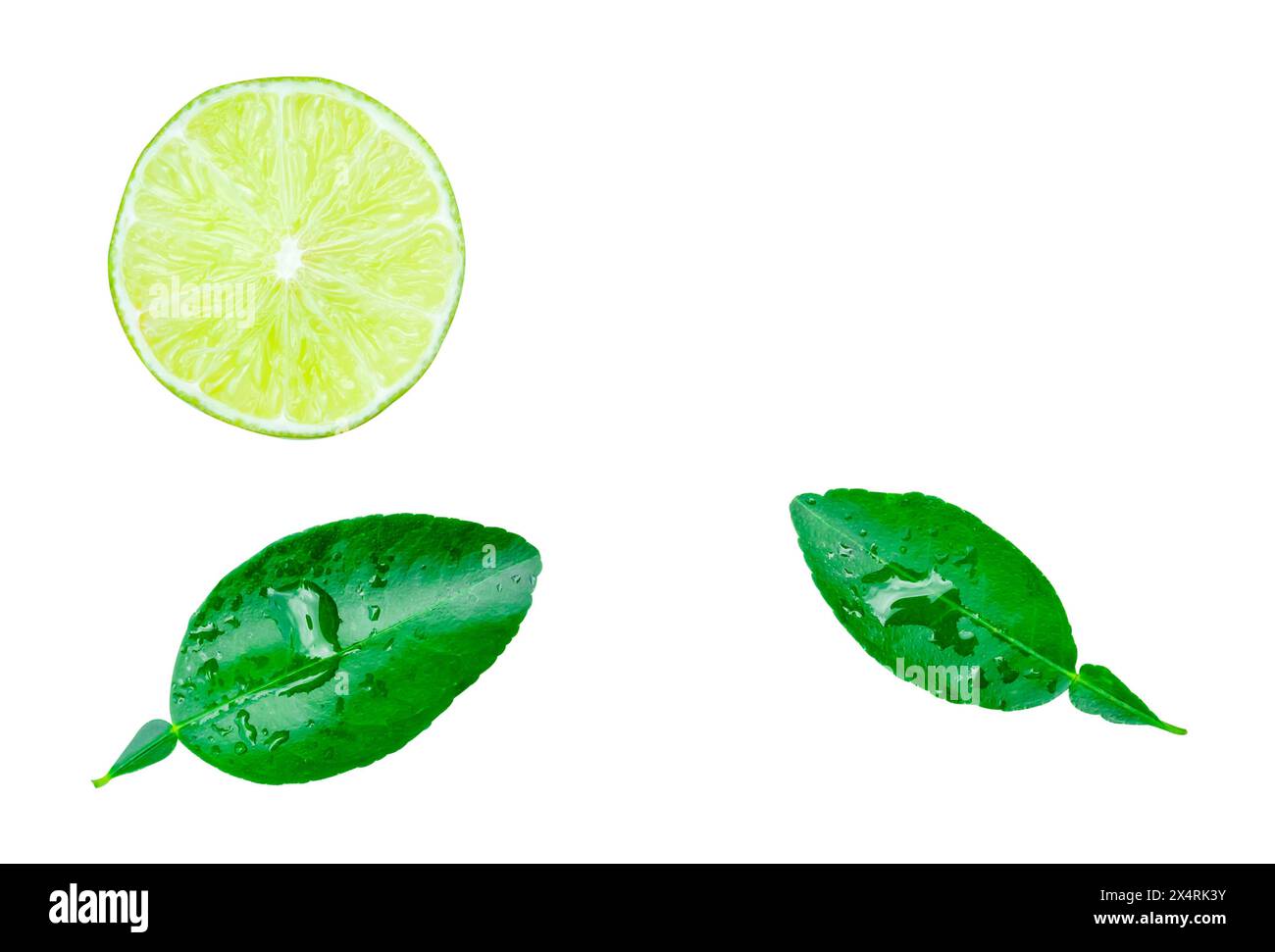 Top view set of green lemon slices or half with leaves and drops scattered is isolated on white ...