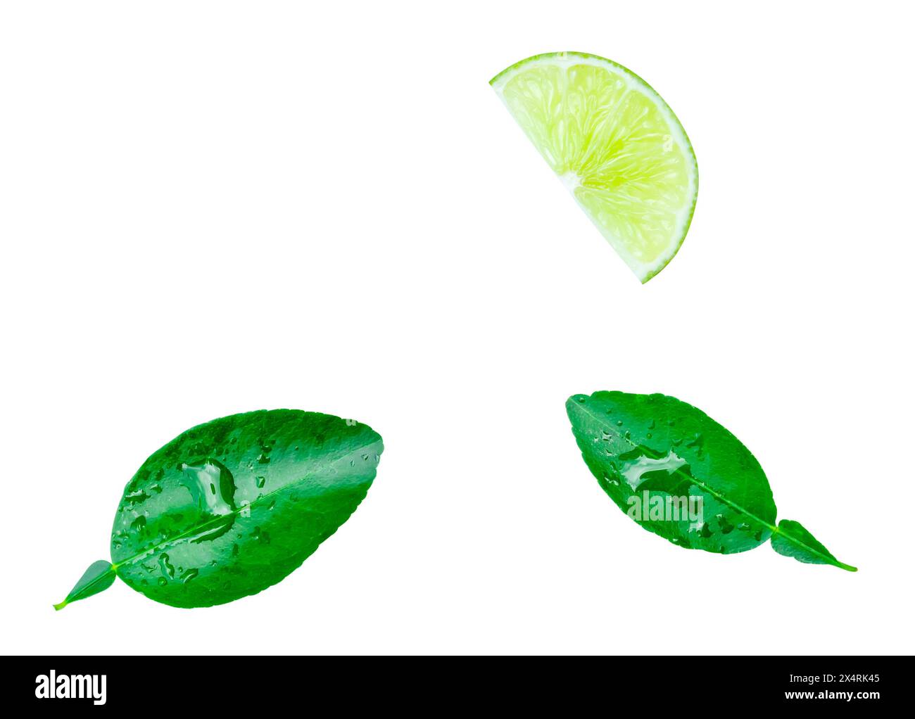 Top view set of green lemon slices or quarter with leaves and drops ...