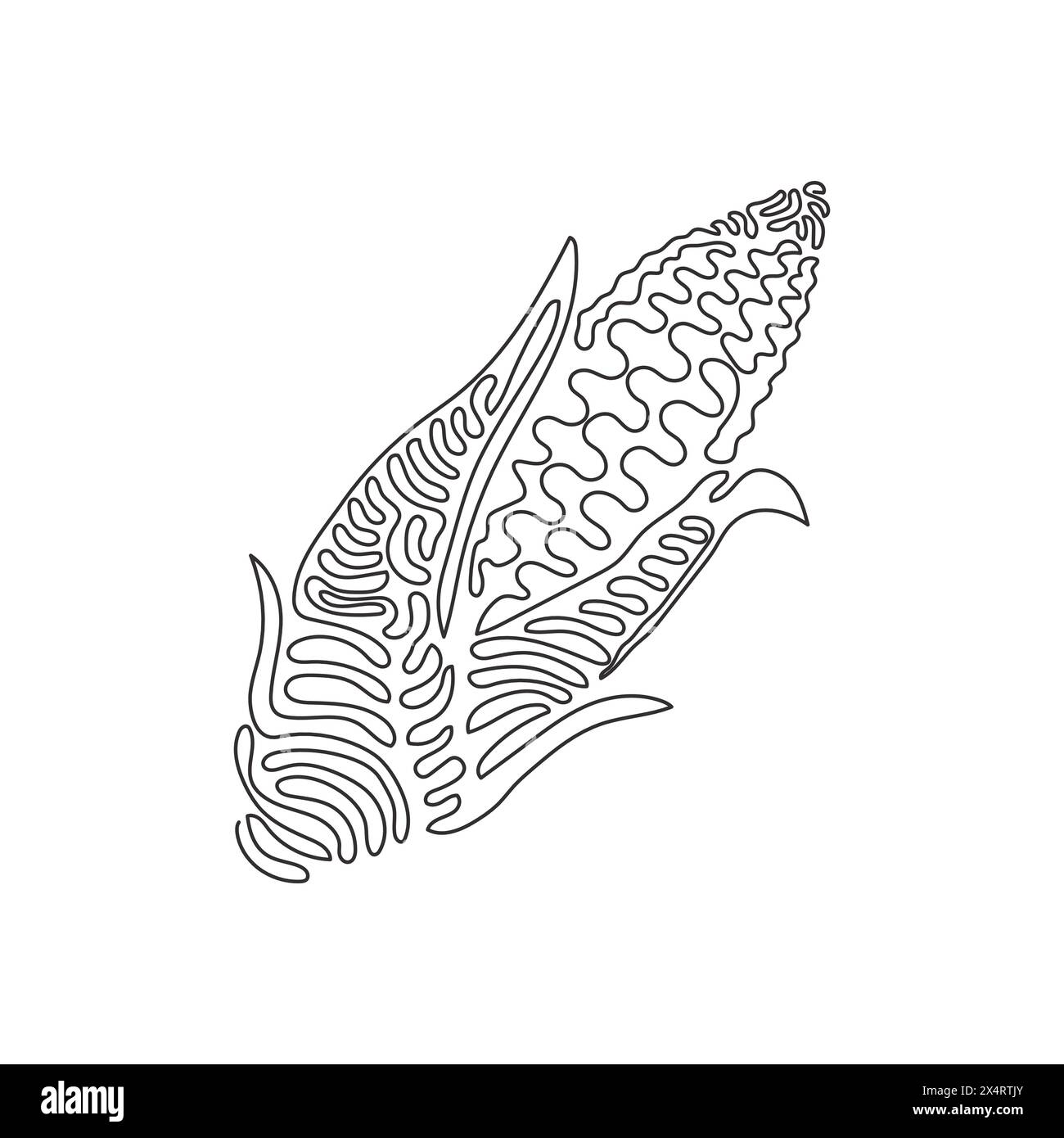 Single continuous line drawing husked cobs of sweet corn. Fresh ...