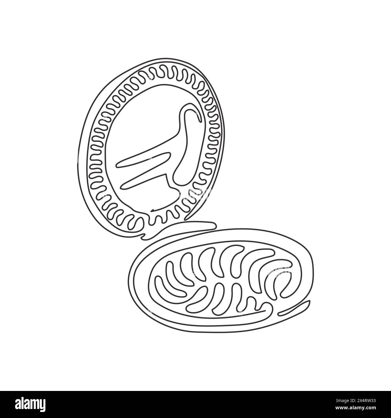 White powder puff Stock Vector Images - Alamy