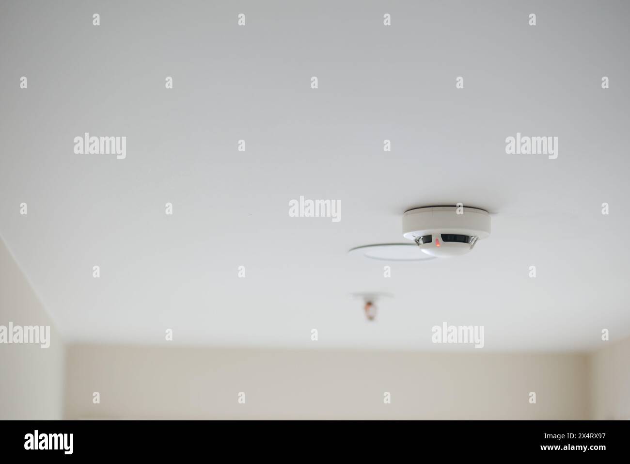 White smoke detector on ceiling at home Stock Photo - Alamy