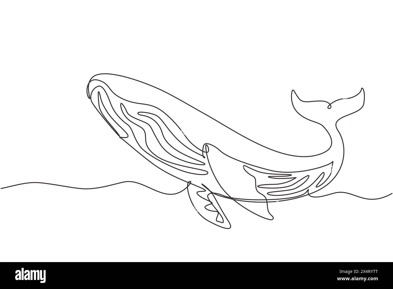 Continuous one line drawing wild whale fish swimming in sea life ...
