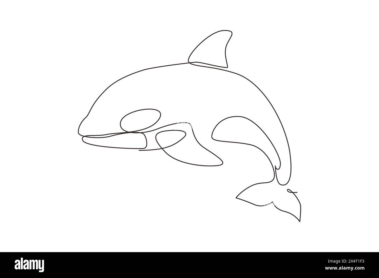 Single continuous line drawing whale killer orca in water. Wild whale ...