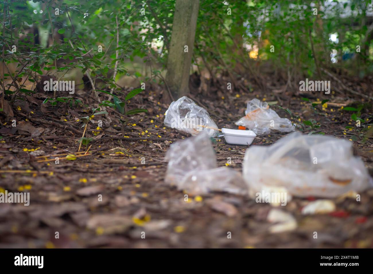 Conservation of natural tourist attractions, Sustainable tourism, Eco ...