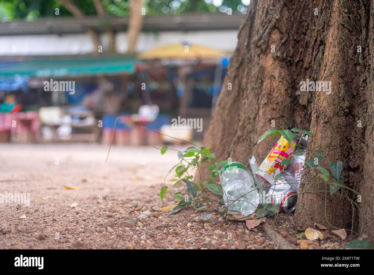 Suratthani, Thailand- October 29, 2023: Conservation of natural tourist ...