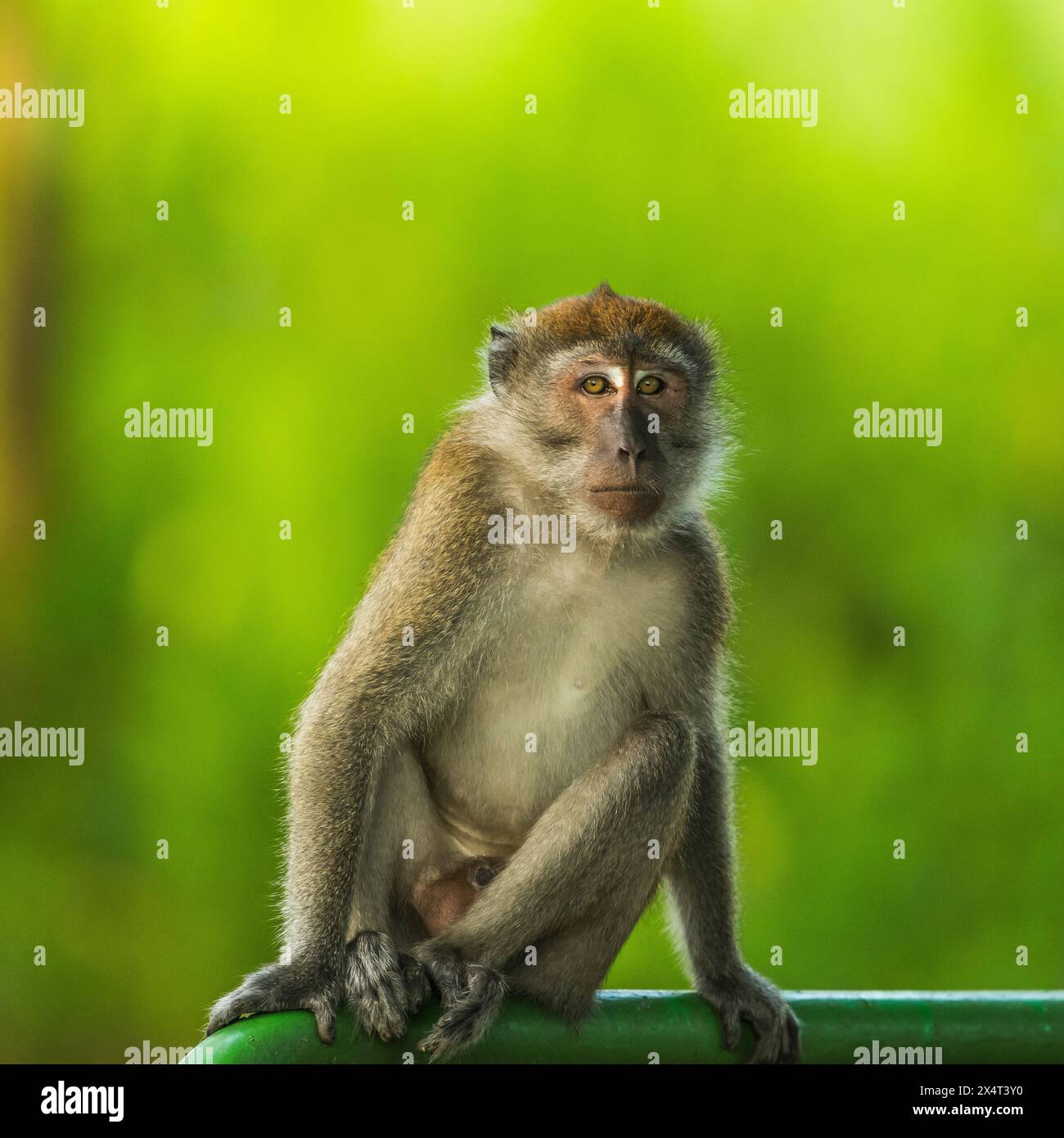 Deep thinking hi-res stock photography and images - Alamy