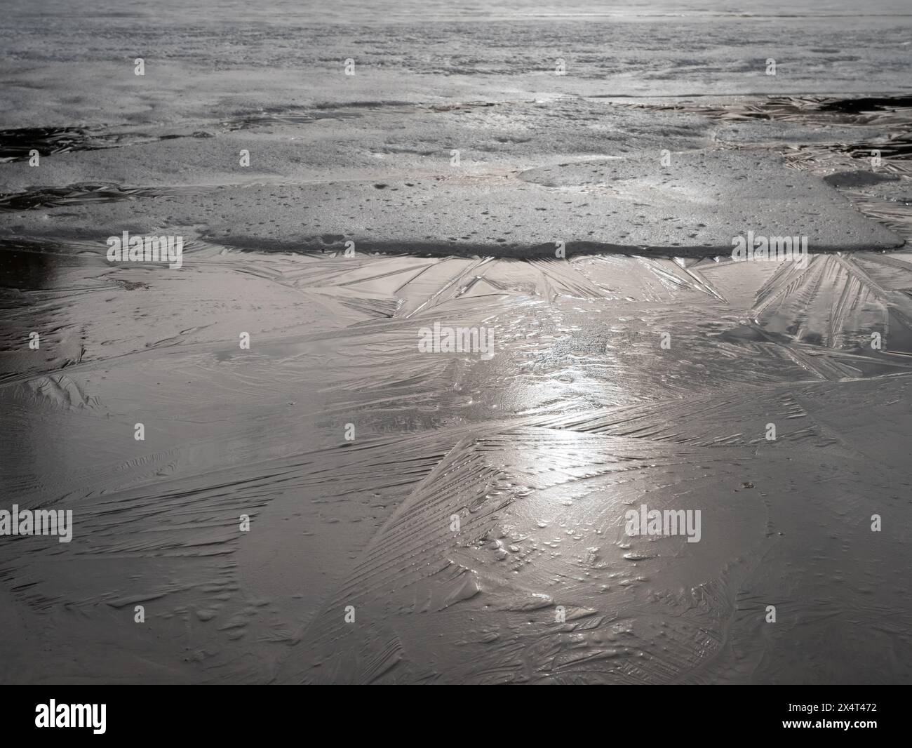 ice on frozen pond surface texture in early May, Finland Stock Photo ...