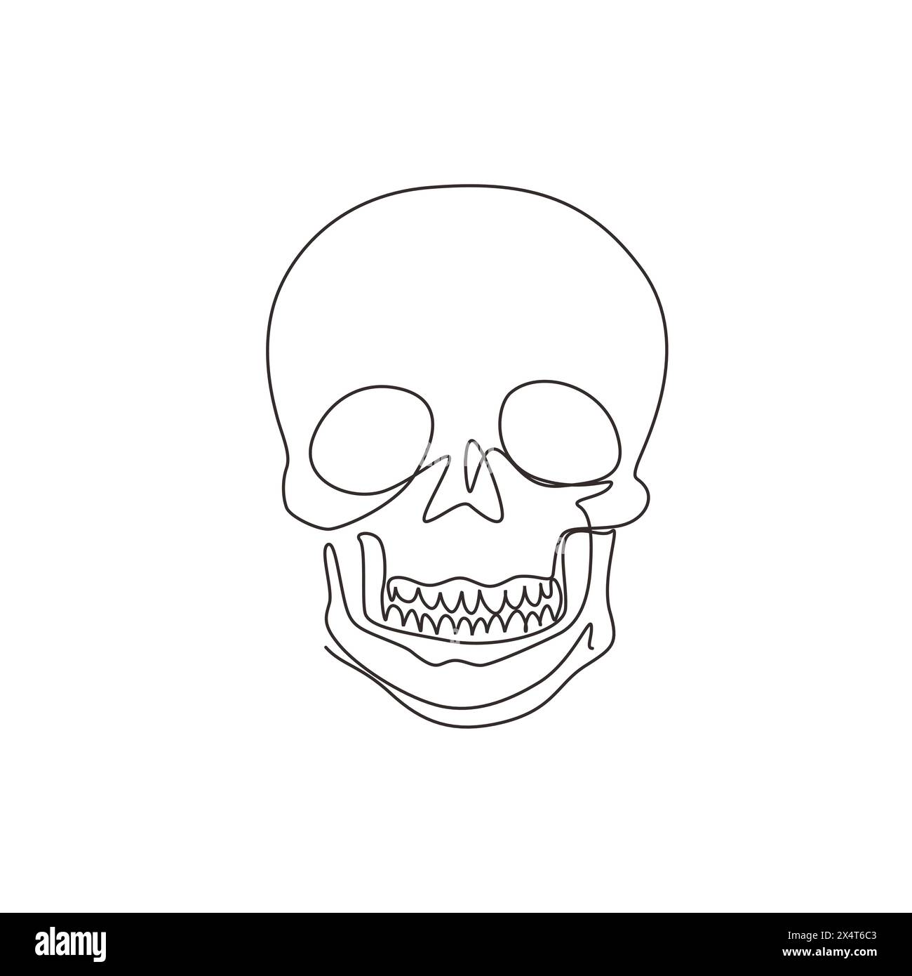 Single continuous line drawing sketch skull. Hand drawn anatomical ...