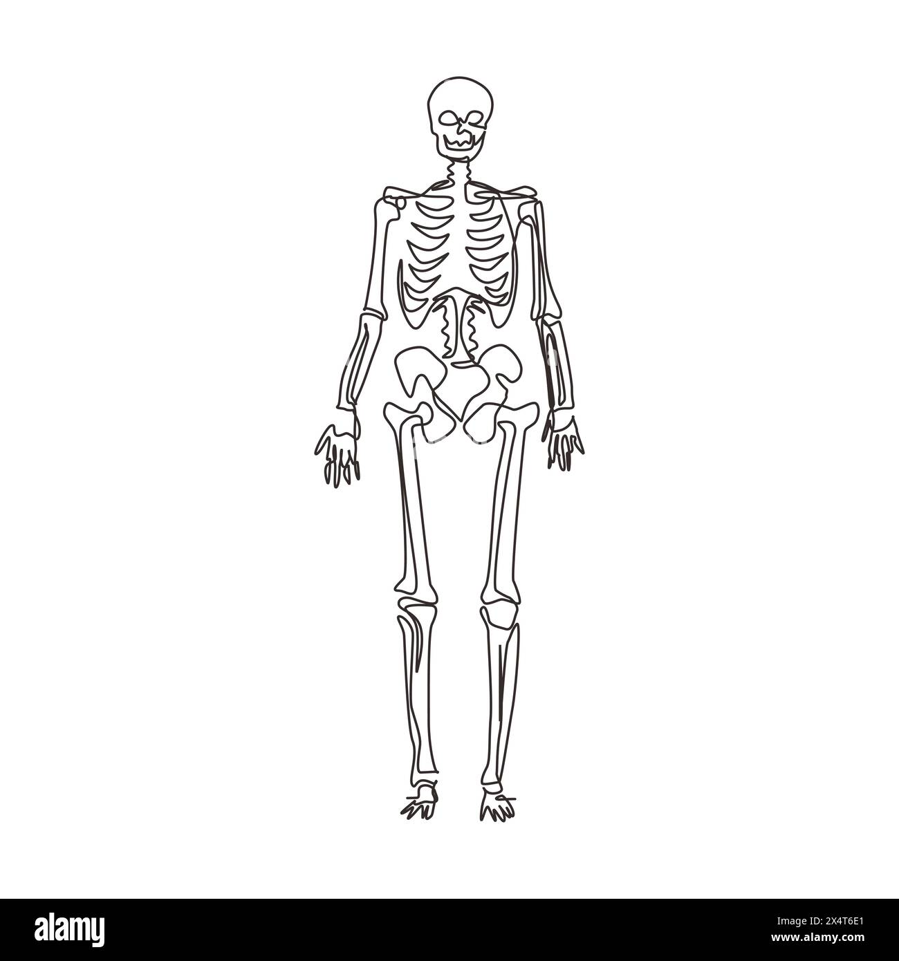 Continuous one line drawing human skeleton image, useful for creating ...
