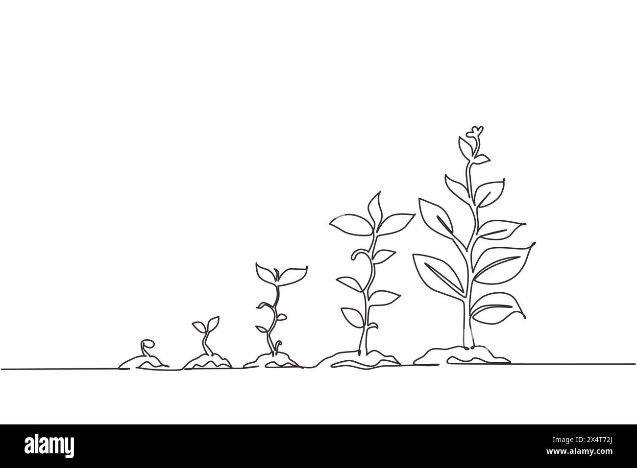 Continuous one line drawing infographic of planting tree. Seeds sprout in ground. Seedling ...