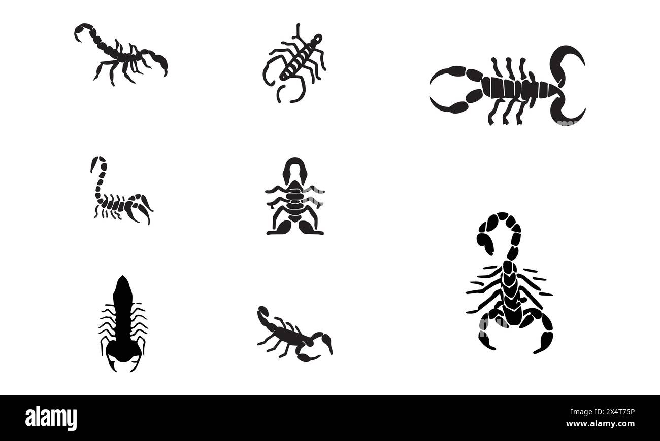 Fat tail scorpion Stock Vector Images - Alamy