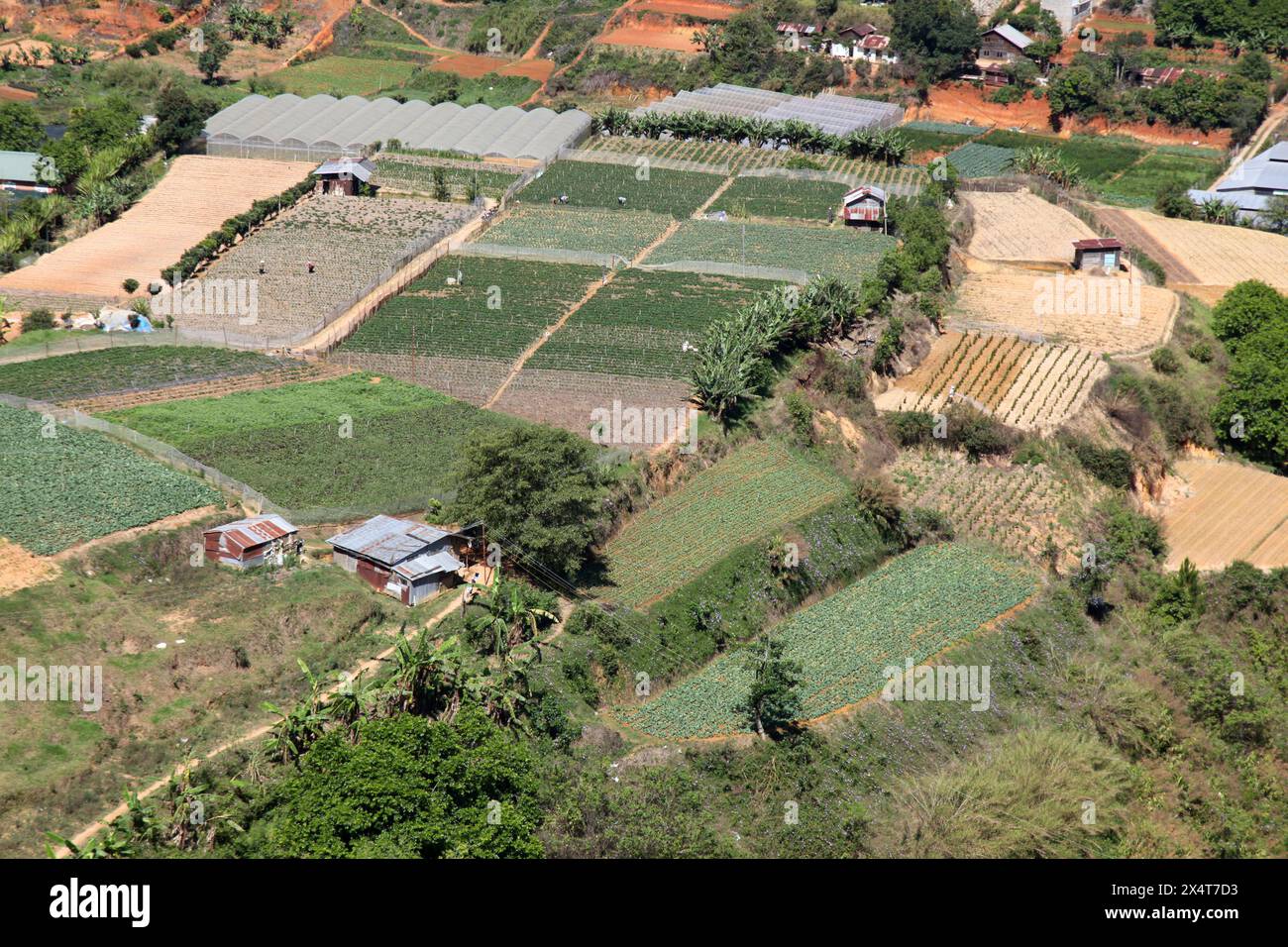 An aerial view of farmland around Dalat in Vietnam's highlands Stock ...