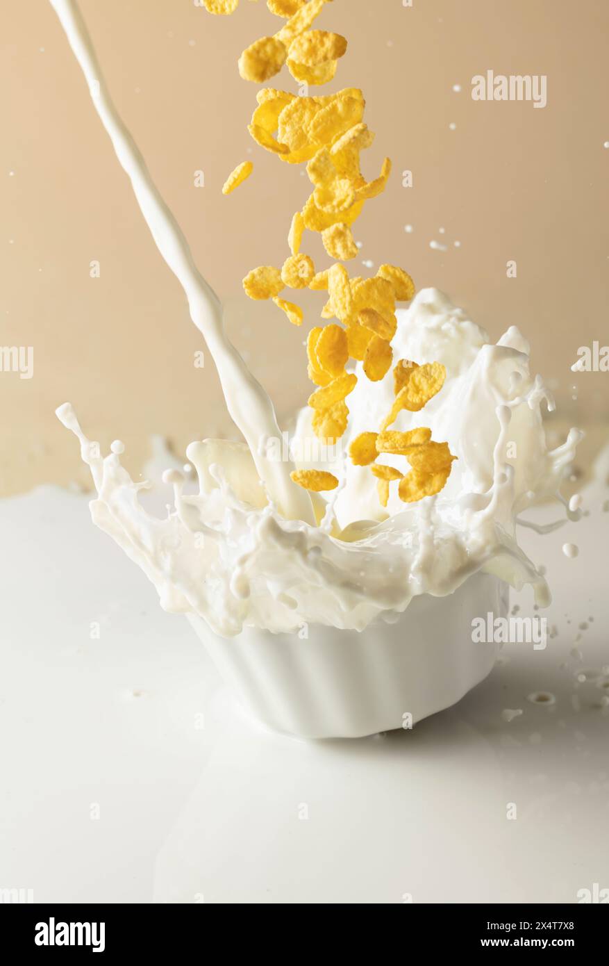 Dry honey cornflakes with milk splashes in a ceramic plate. Flakes with ...