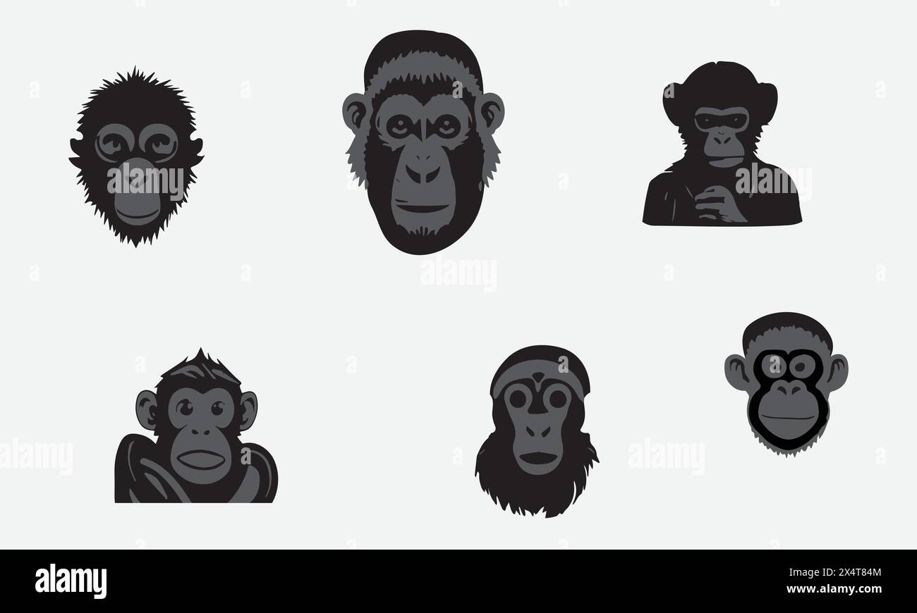 Cheeky monkey hi-res stock photography and images - Alamy