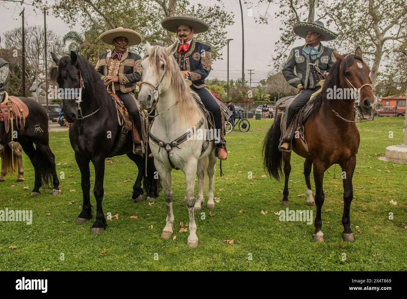 Mexican american heritage cultural diversity, Cinco de Mayo is the ...