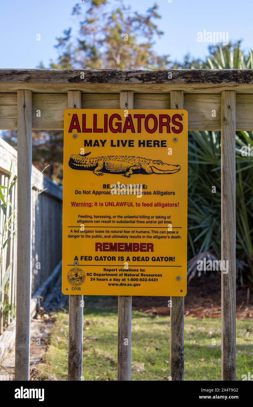Pawleys island, USA - November 18 2021: Yellow alligator warning sign ...
