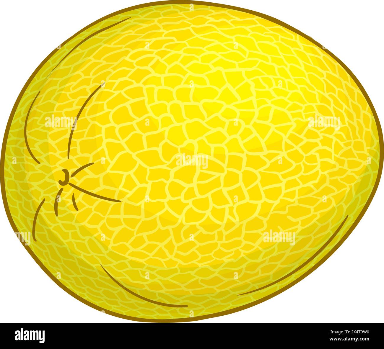 Melon Fruits Colored Detailed Illustration Stock Vector Image & Art - Alamy