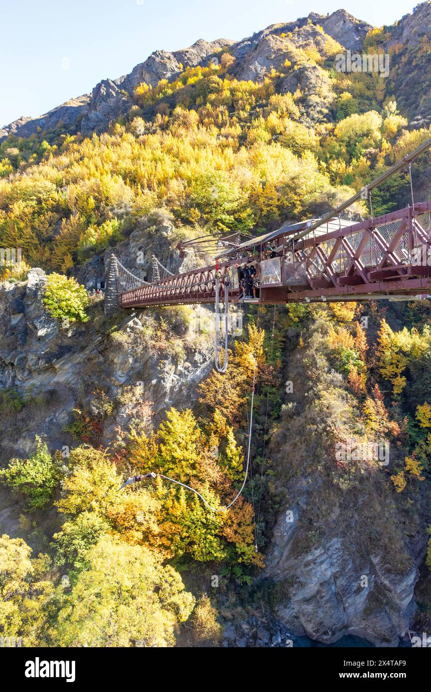 Bungy jumping off Kawarau Gorge Suspension Bridge in autumn, Gibbston ...