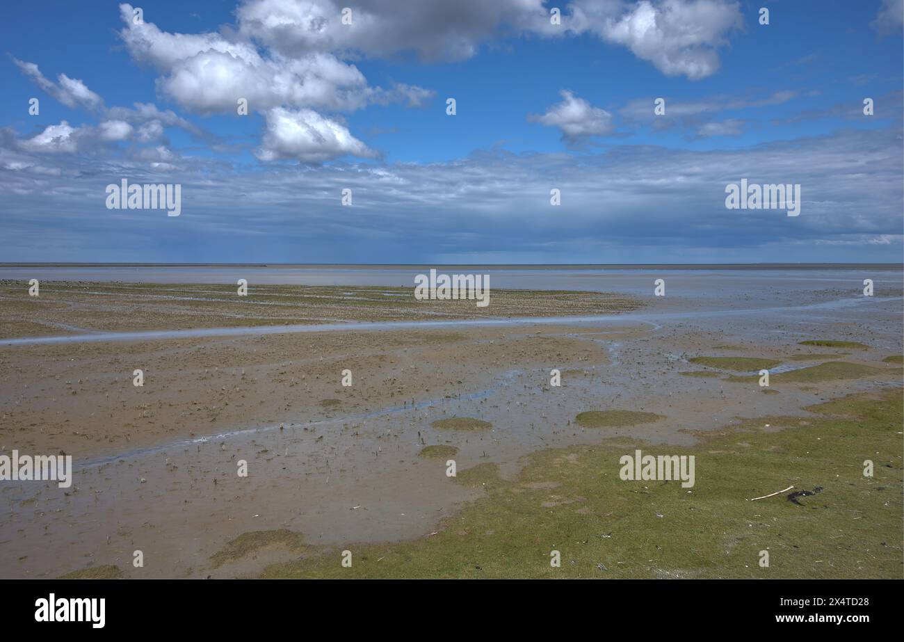 Salt march at low tide, on the wadden coast, with a wilde view over the ...