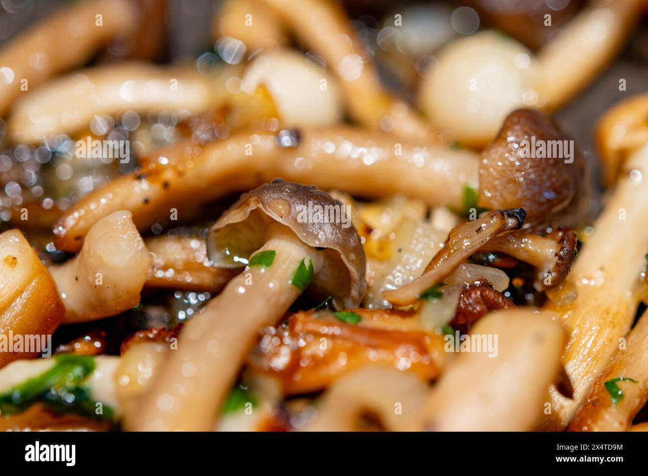 Roasted with onion white and brown shimeji edible mushrooms native to ...