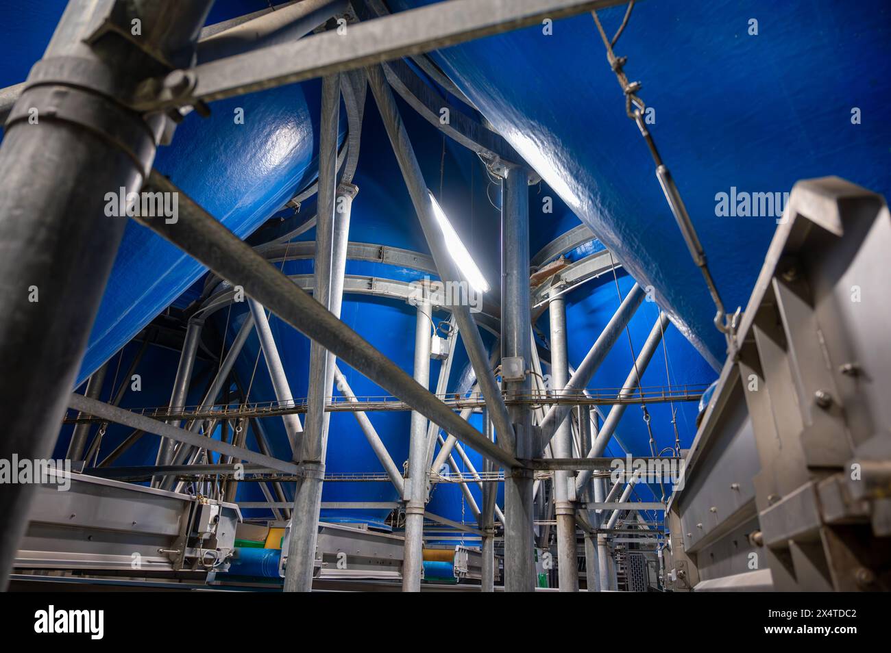 Fresh vegetables processing equipment after harvesting, storage ...