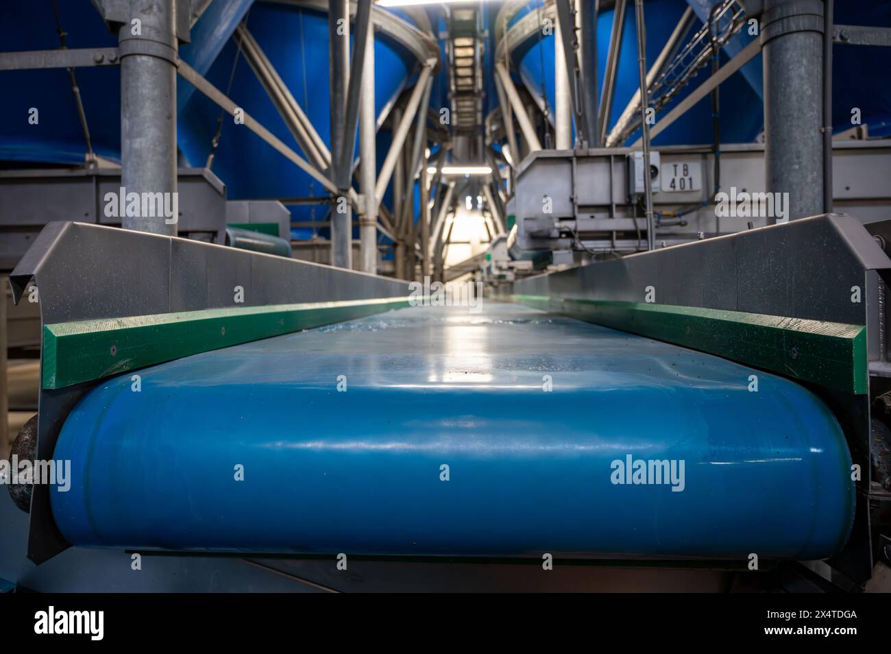 Fresh vegetables processing equipment after harvesting, storage ...