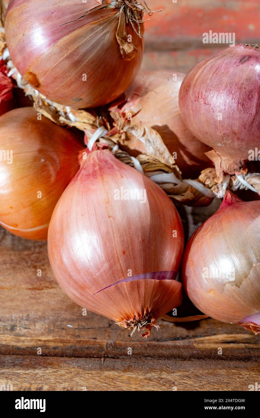 Roscoff village hi-res stock photography and images - Alamy