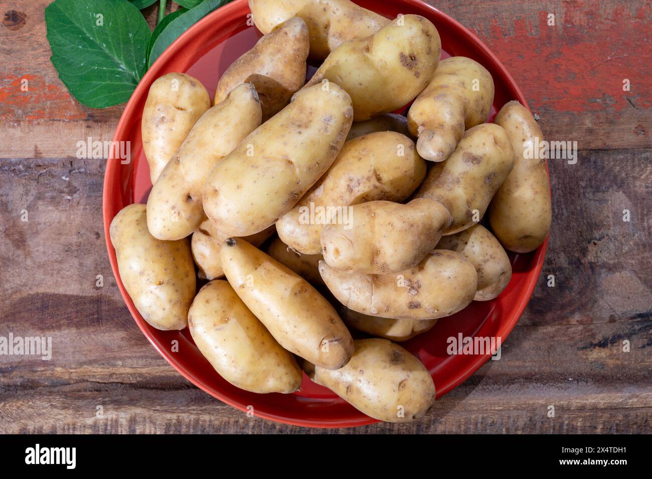 Ratte potato, La Ratte, La Reine Ratte du Touquet, or Asparges small ...