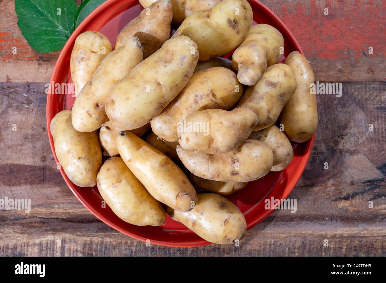 Ratte potato, La Ratte, La Reine Ratte du Touquet, or Asparges small ...