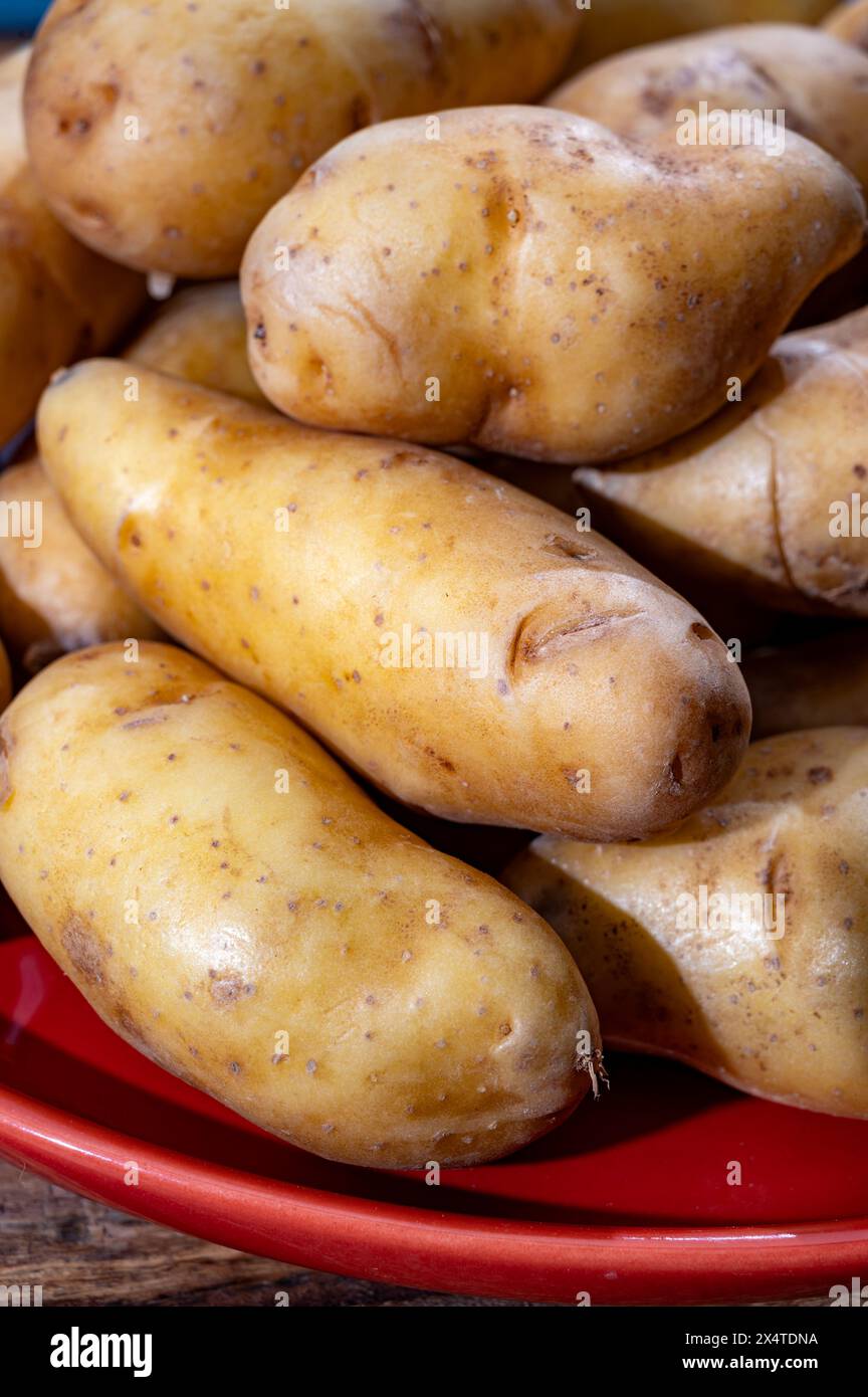 Ratte potato, La Ratte, La Reine Ratte du Touquet, or Asparges small ...