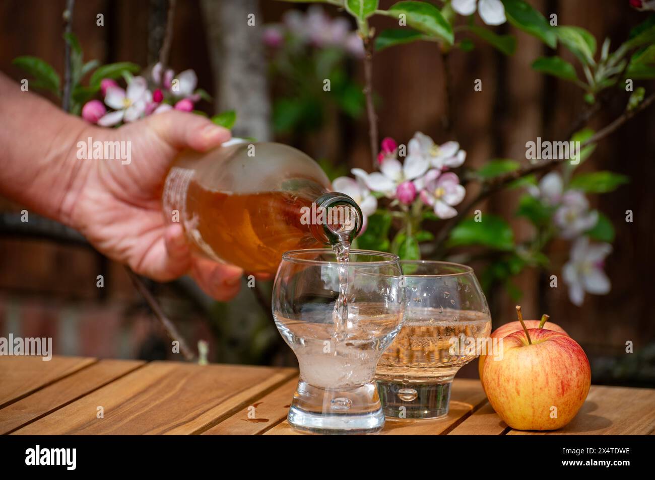 Pouring of cold brut apple cider from Normandy in glass, France and ...