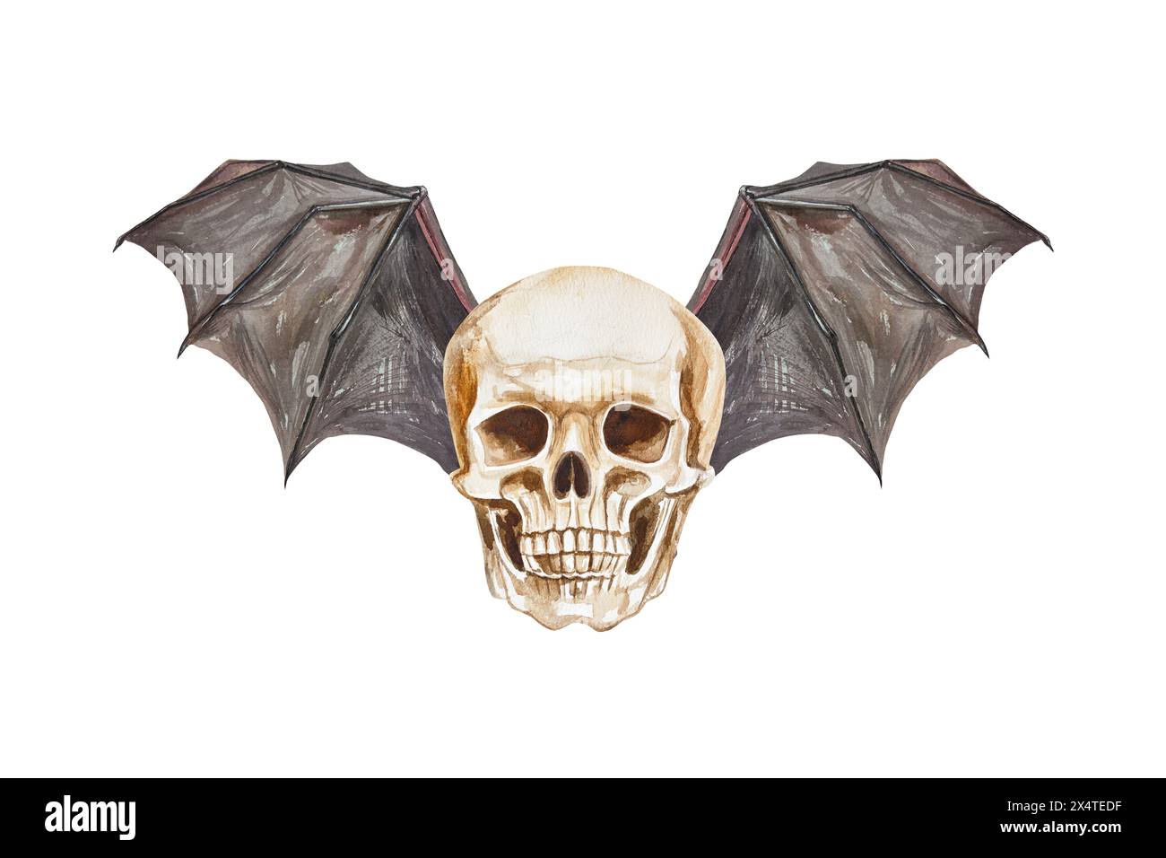 Human skull with bat wings. Hand drawn watercolor illustration isolated ...