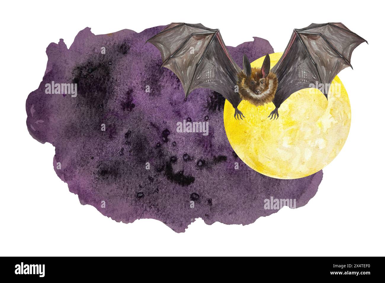 Bat, moon, night. Halloween template for inserting text. Hand drawn ...