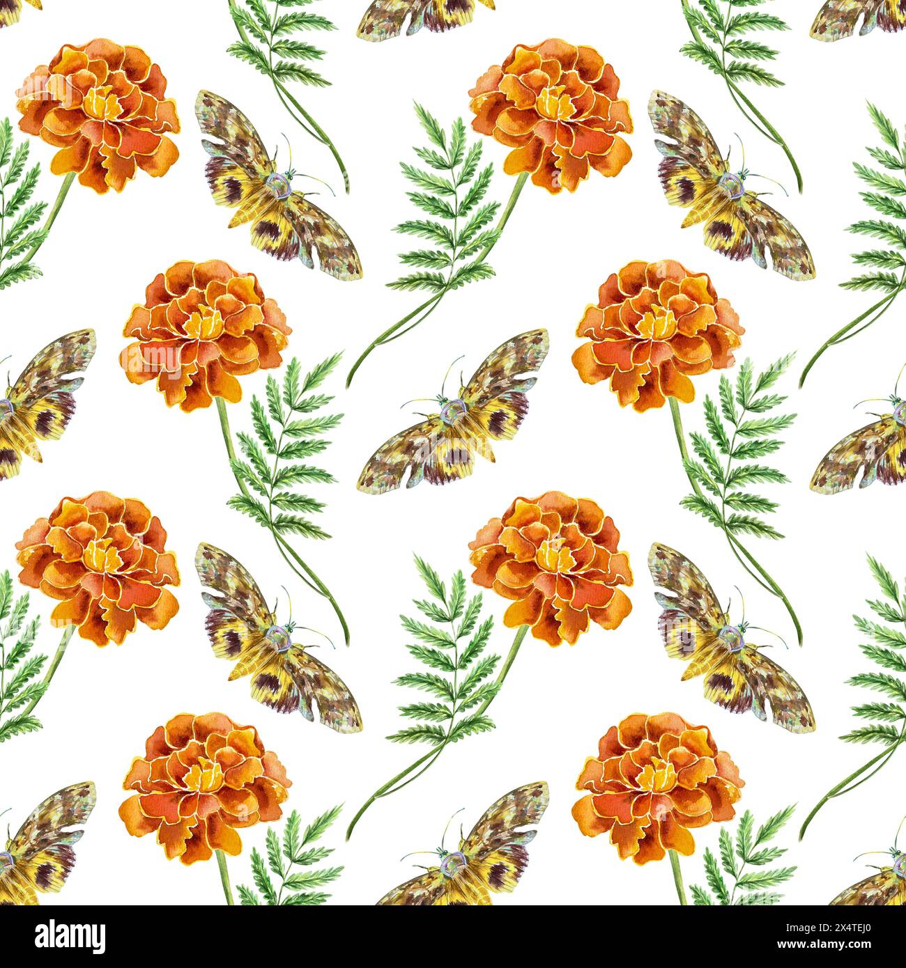 Marigolds and moths. Seamless pattern. Hand drawn watercolor ...