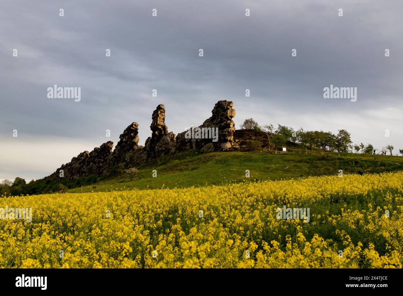 Teufelsmauer in Neinstedt Sonnenuntergang am 28. April 2024 an der ...