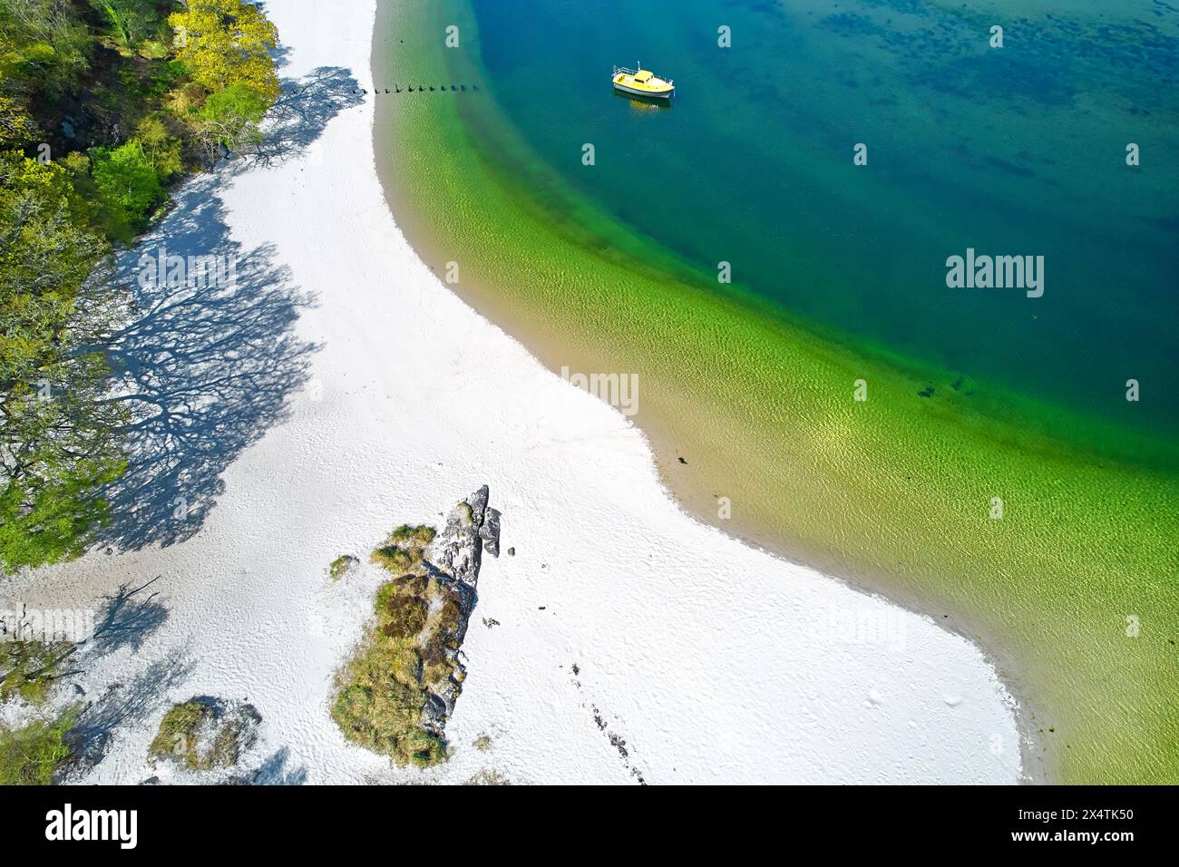 Silver Sands of Morar Highland Scotland woodland trees in Spring a ...