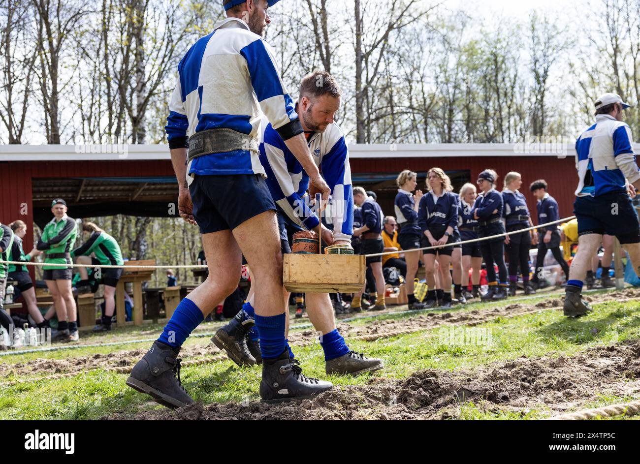 Boxholm, Sweden. 4th, May, 2024. One of Sweden's oldest tug-of-war ...