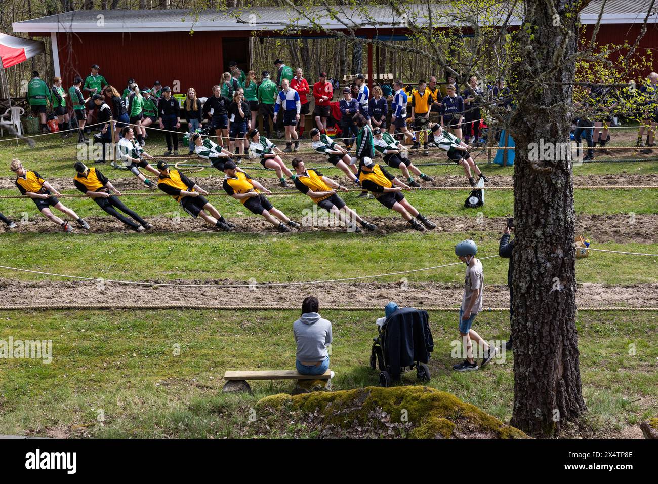 Boxholm, Sweden. 4th, May, 2024. One of Sweden's oldest tug-of-war ...