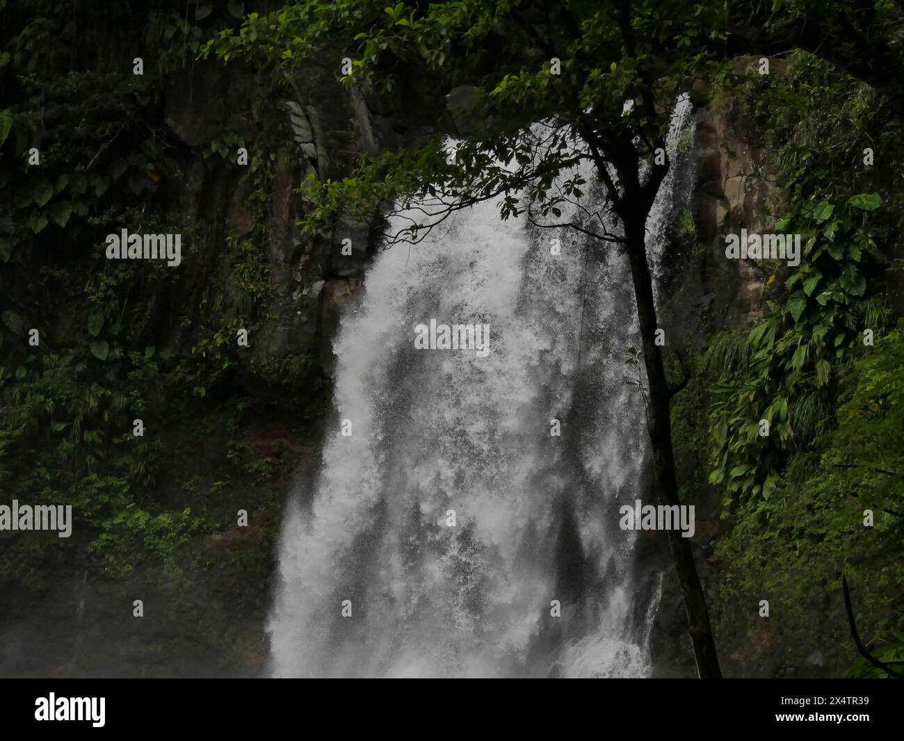 strong water flow detail of third carbet waterfall, in Guadeloupe ...