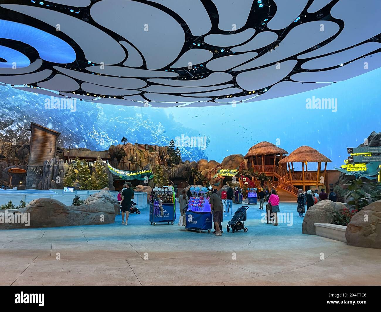 SeaWorld Yas Island, Abu Dhabi, a marine life theme park and animal ...