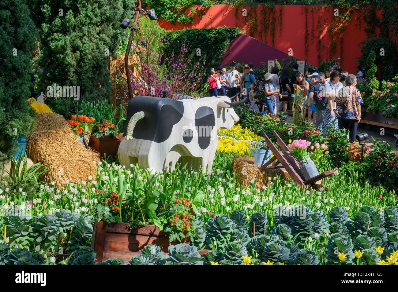 Wooden Cows at Tulipmania 2024 @ The Flower Dome, Gardens by the Bay ...