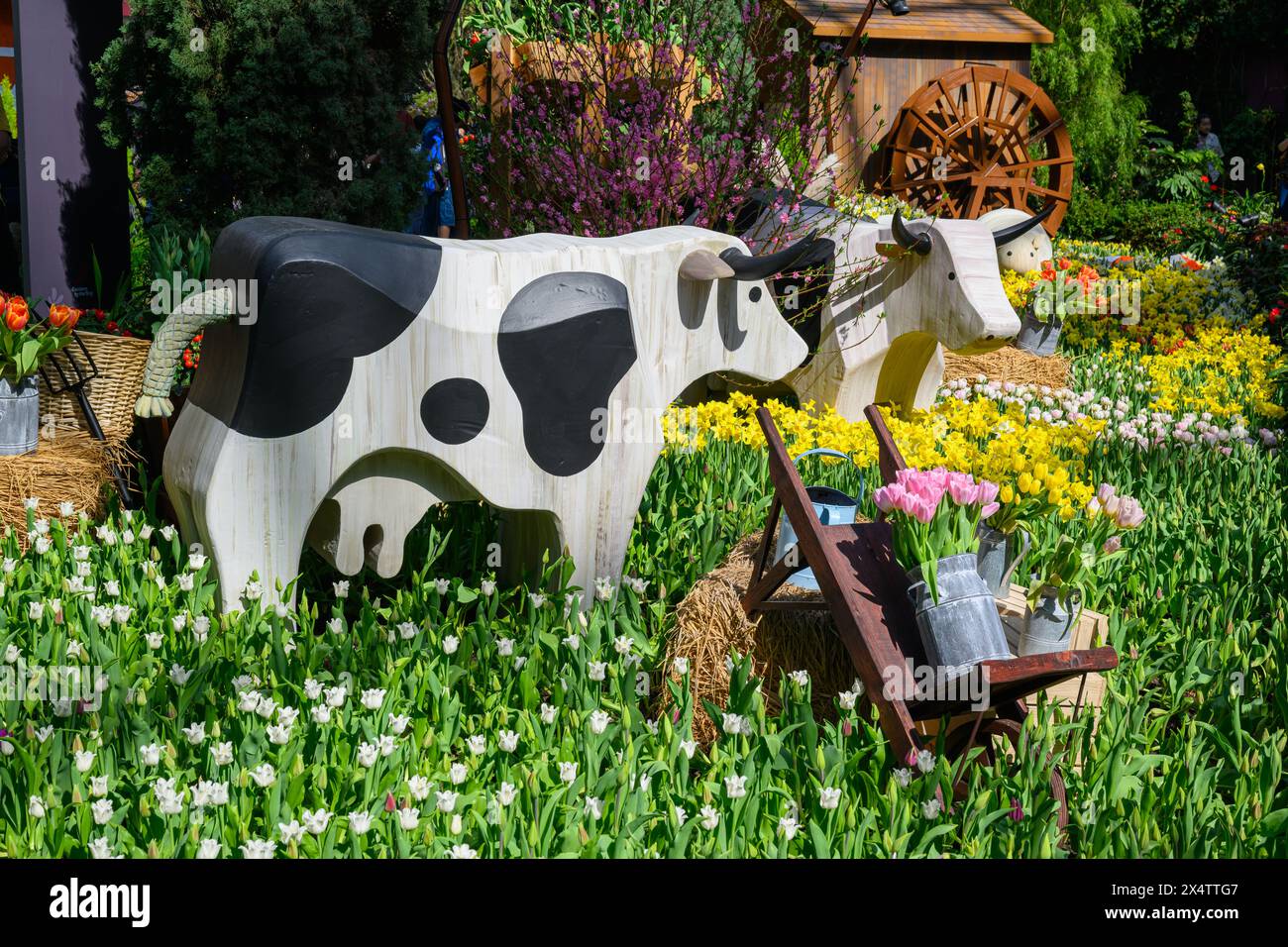 Wooden Cows at Tulipmania 2024 @ The Flower Dome, Gardens by the Bay ...