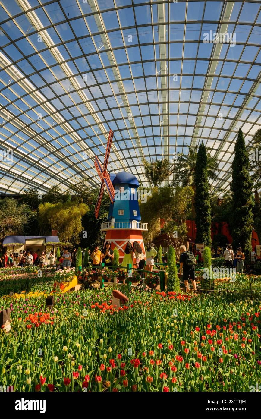 Tulipmania 2024 @ The Flower Dome, Gardens by the Bay, Singapore Stock ...
