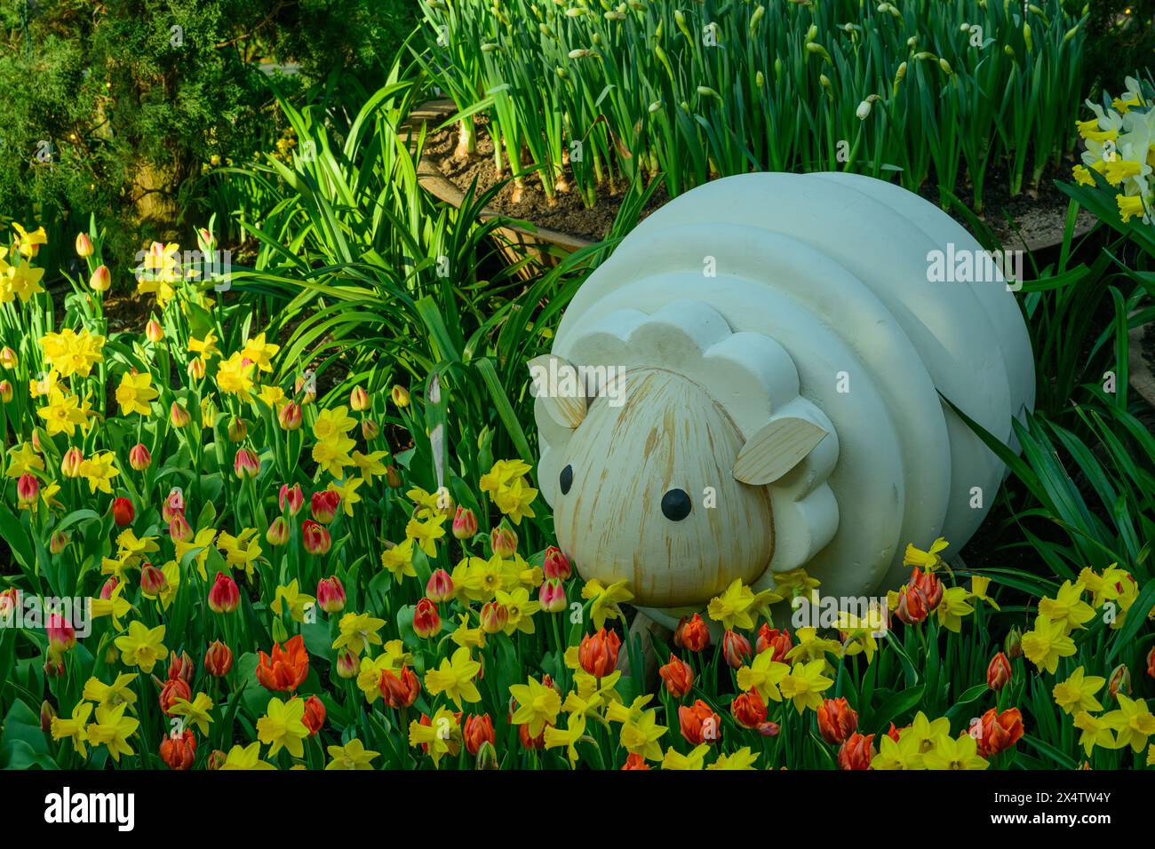 Wooden sheep on display at Tulipmania 2024 @ The Flower Dome, Gardens ...