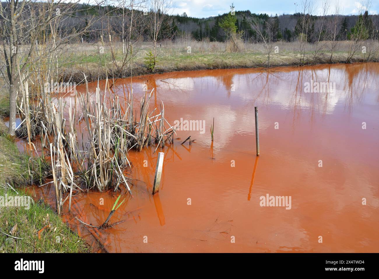 Sedimentation basin on old copper mining site. Pond with orange water ...